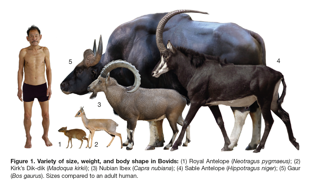 IELTS Reading Recent Actual Test 39 - 9IELTS