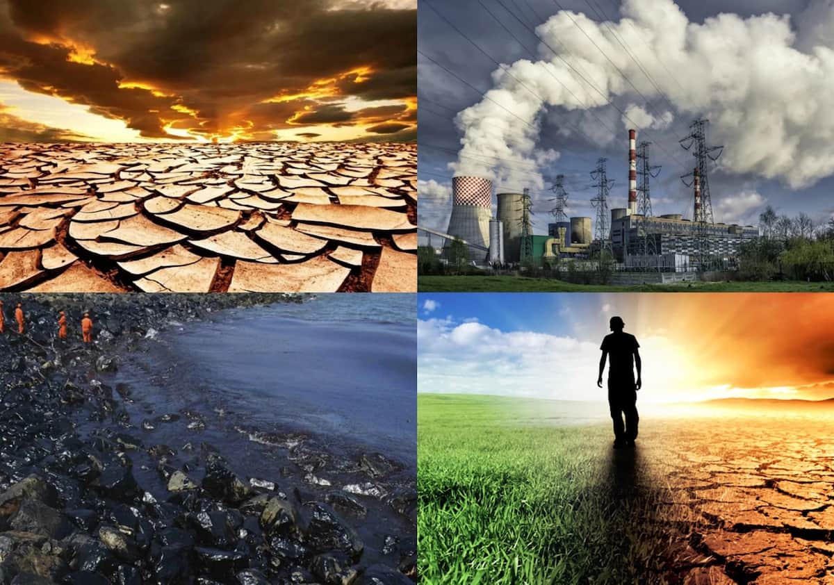 The key to solving the environmental problem is simple - 9IELTS