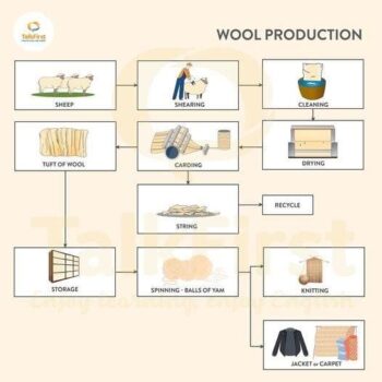 The diagram shows the different stages in the production of woollen ...